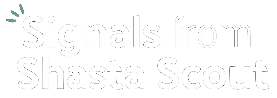 Newsletter – Shasta Scout