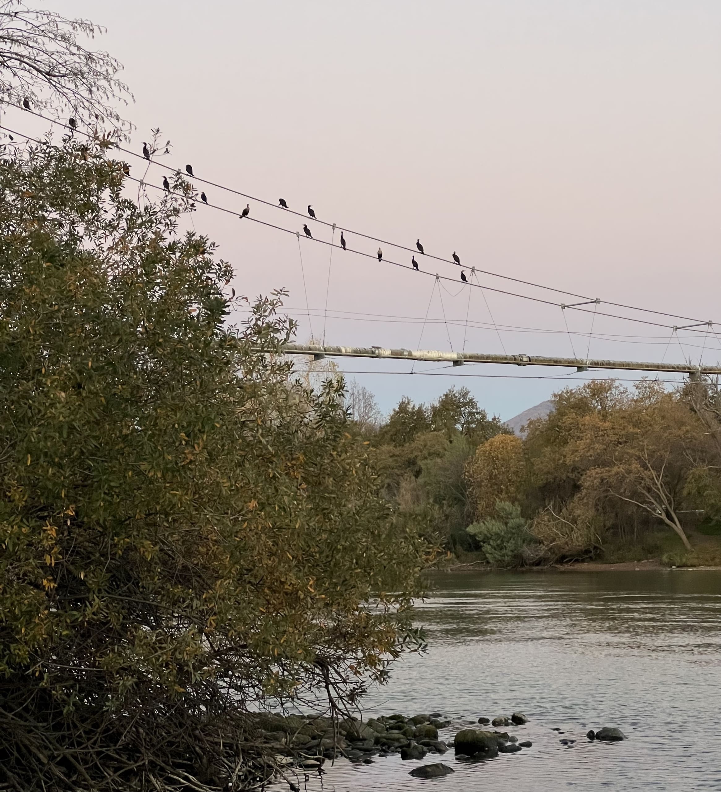 Here’s Who Mayor Tenessa Audette Hopes to Appoint to the Redding ...