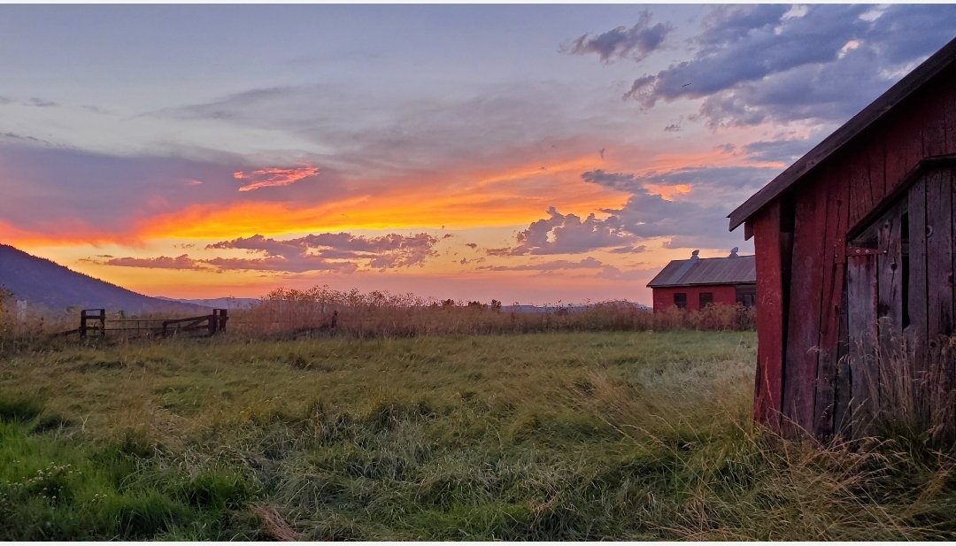 Wild Rice Farm Will Sustain Both Family Agriculture And The Environment ...