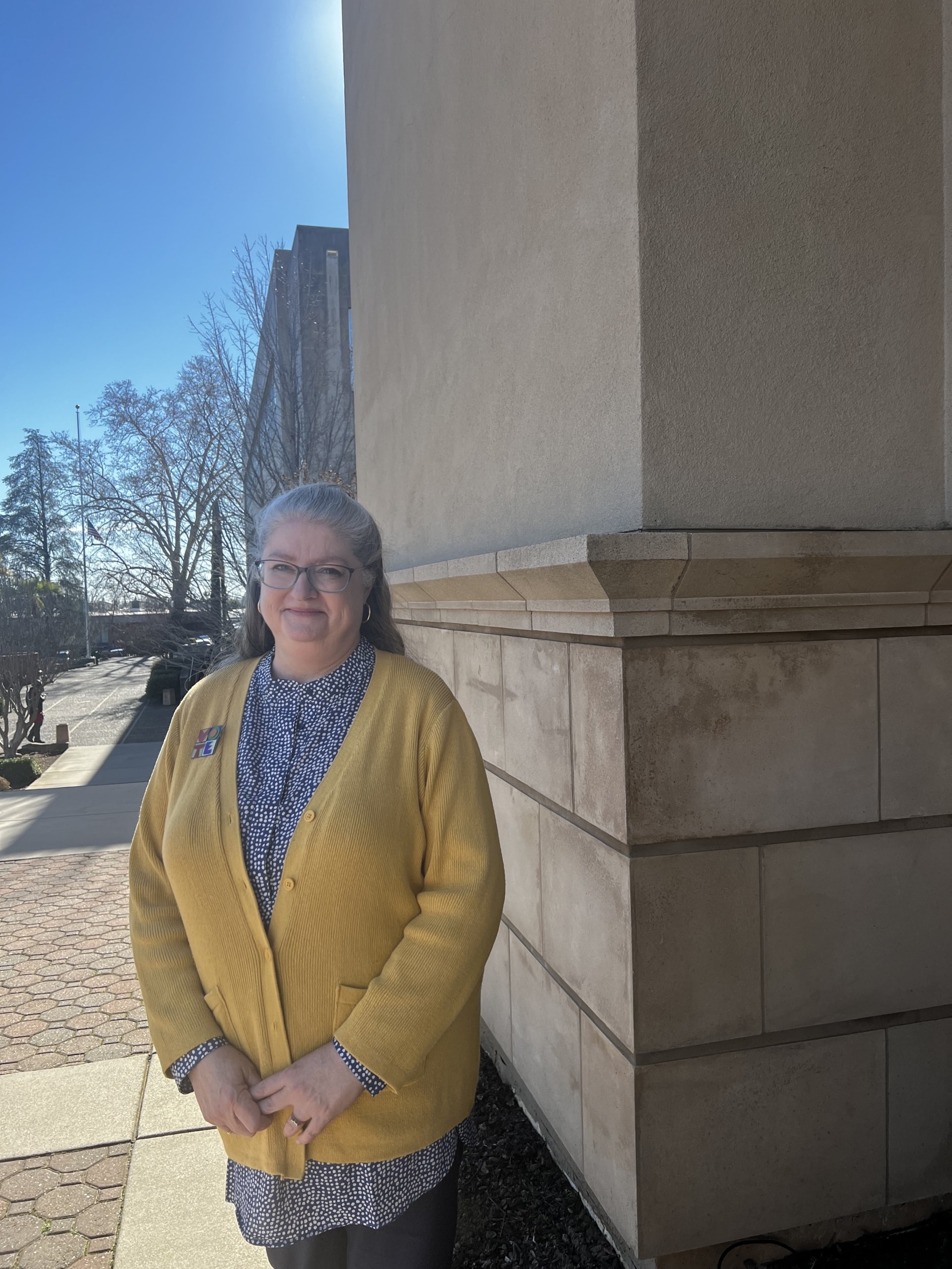 Set Up for Failure? New Citizens Advisory Elections Committee Missing ...