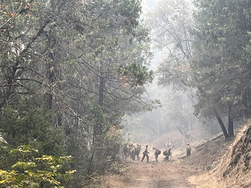 Home – Shasta Scout