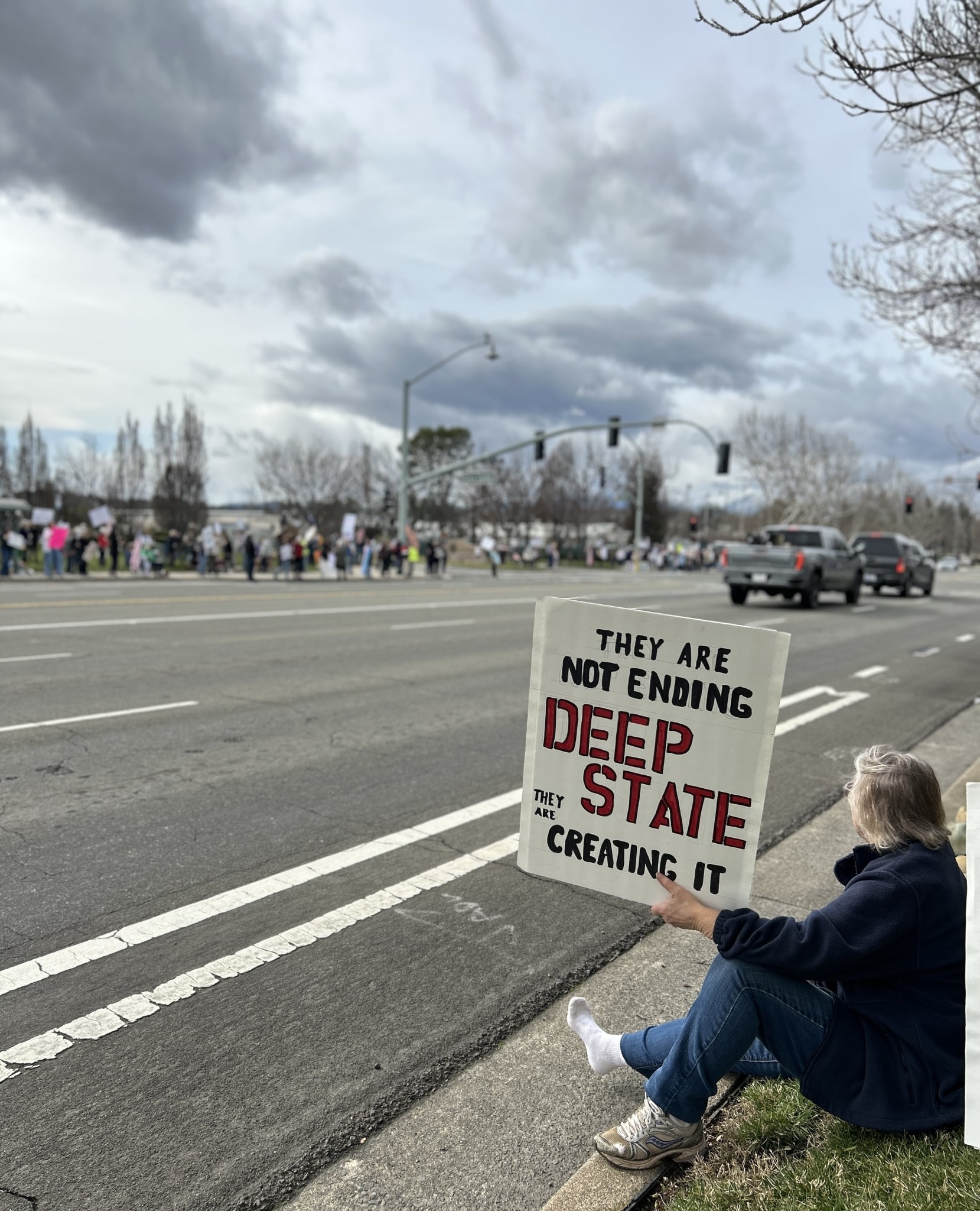 In Conservative Shasta County, Over Four Hundred Gather to Protest ...