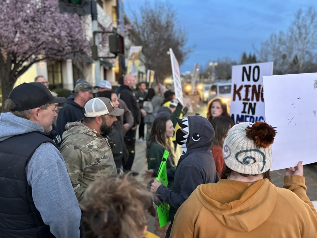 Hundreds Gather for "No Kings" Protest in Redding – Shasta Scout