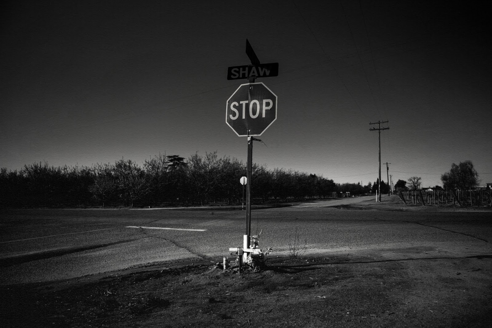 License to Kill – Shasta Scout